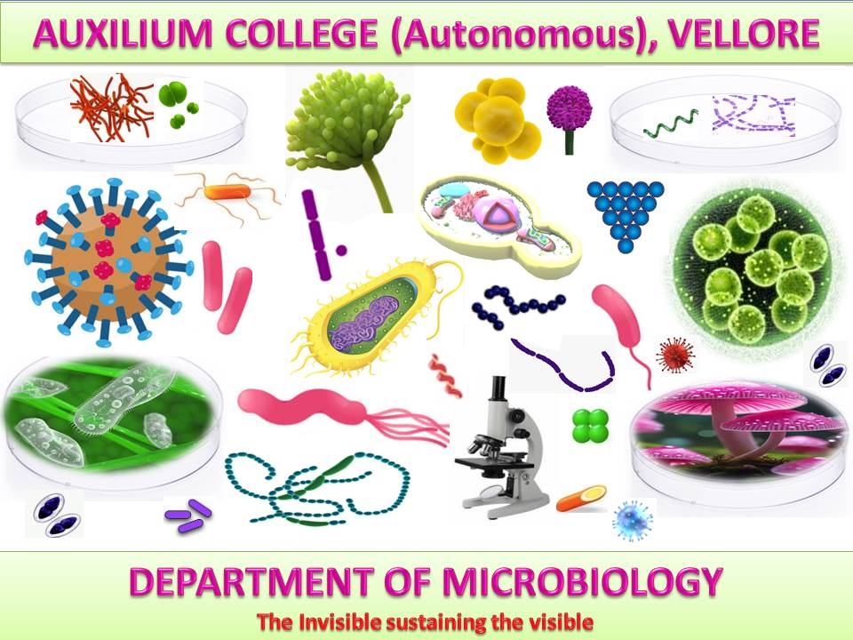 AUXILIUM COLLEGE (AUTONOMOUS)